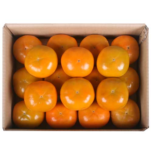 [GAP인증]24년 진영 햇단감 3kg 15과 | LG생활건강 가족몰